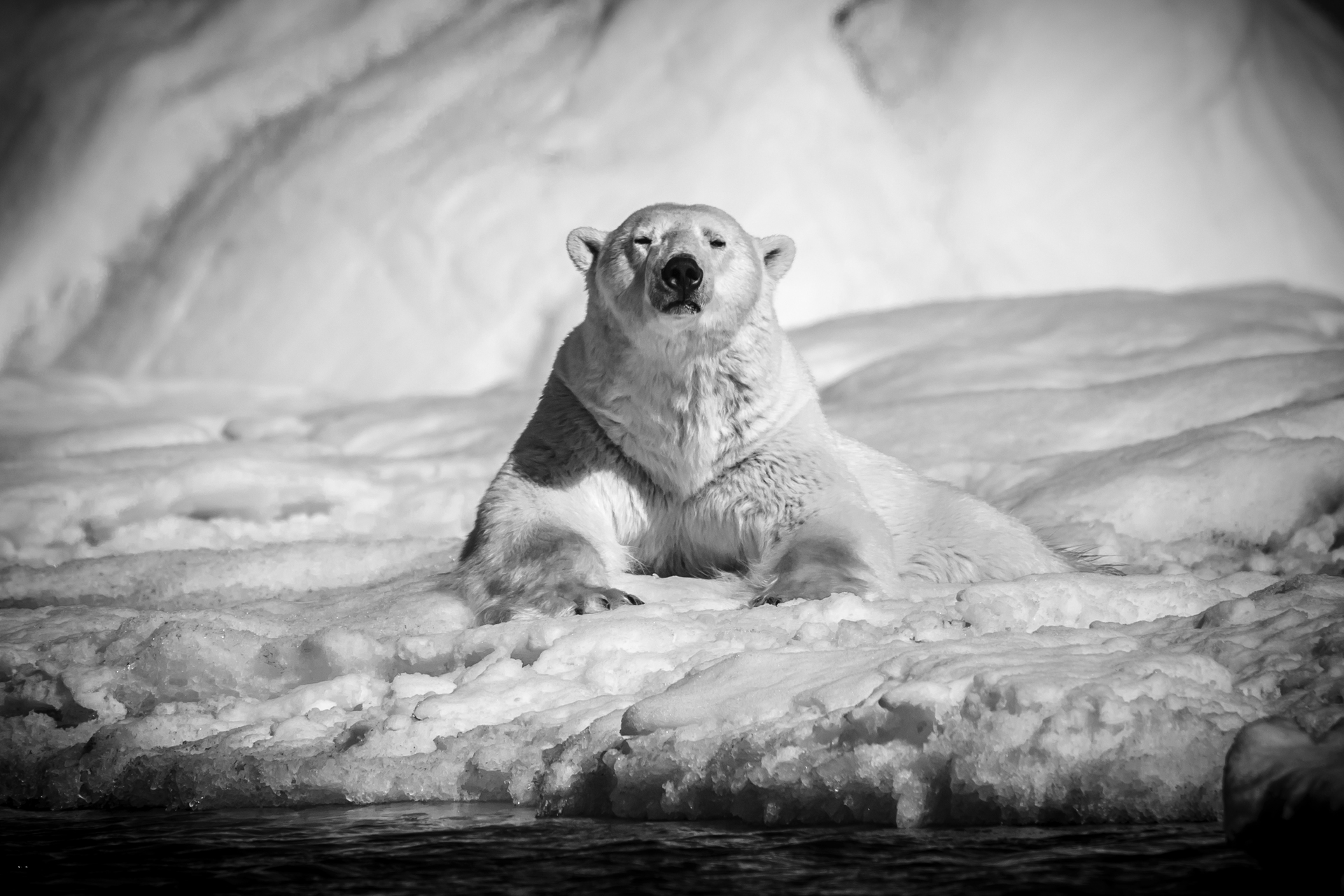 ExplorEarth | Explore the extraordinary | Expedition | Adventure | Cruise