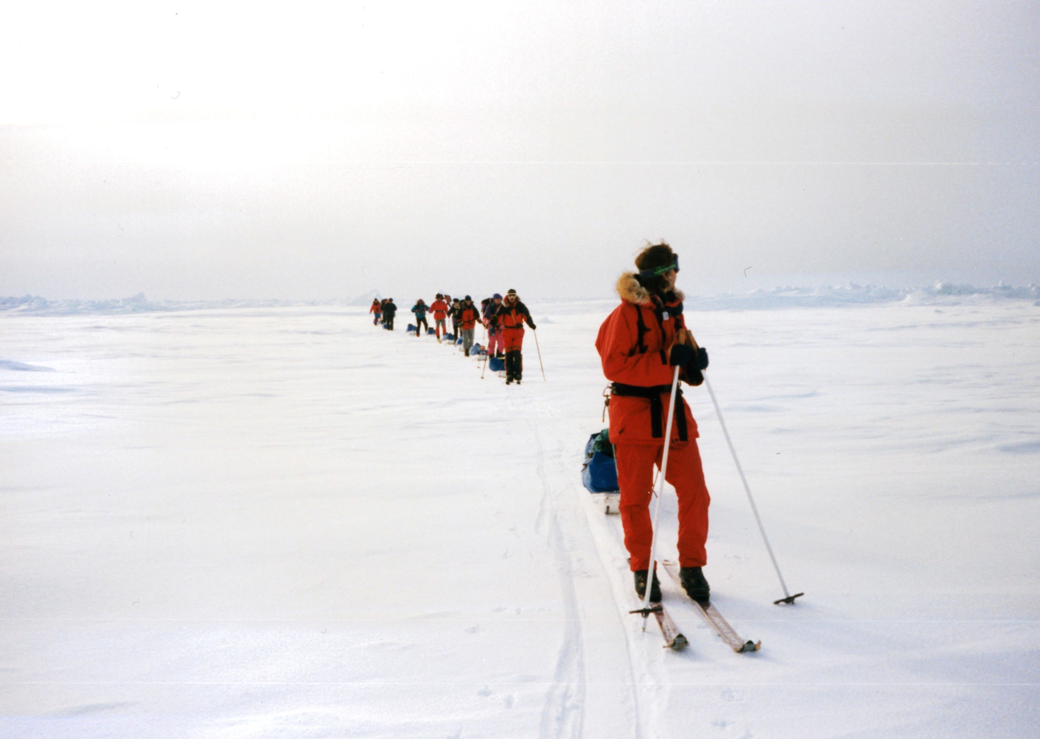 Polar Skiing on expedition cruises | ExplorEarth