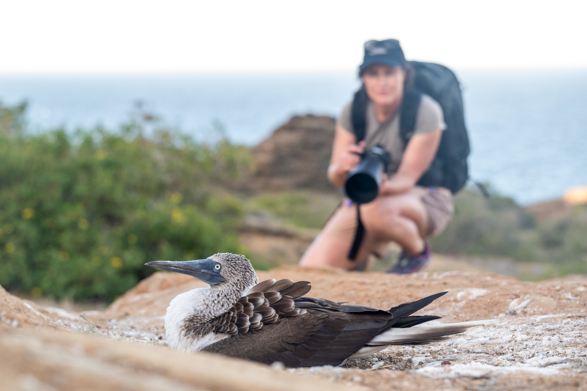 North Pole | ExplorEarth