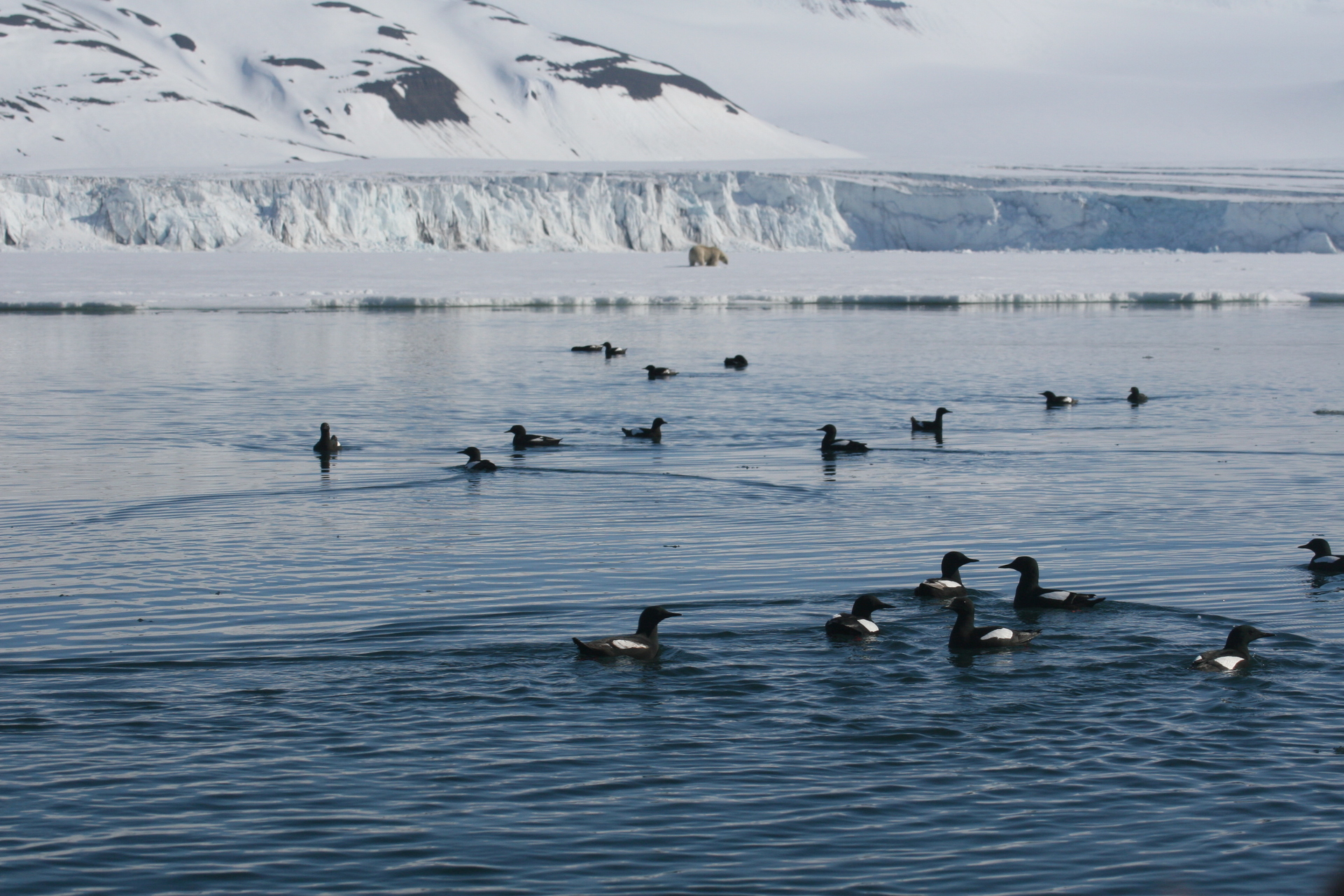 Ocean Generation and ExplorEarth