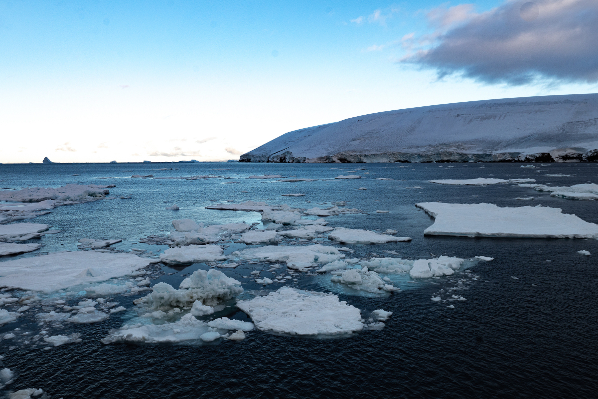 Expedition Guide: Sea ice