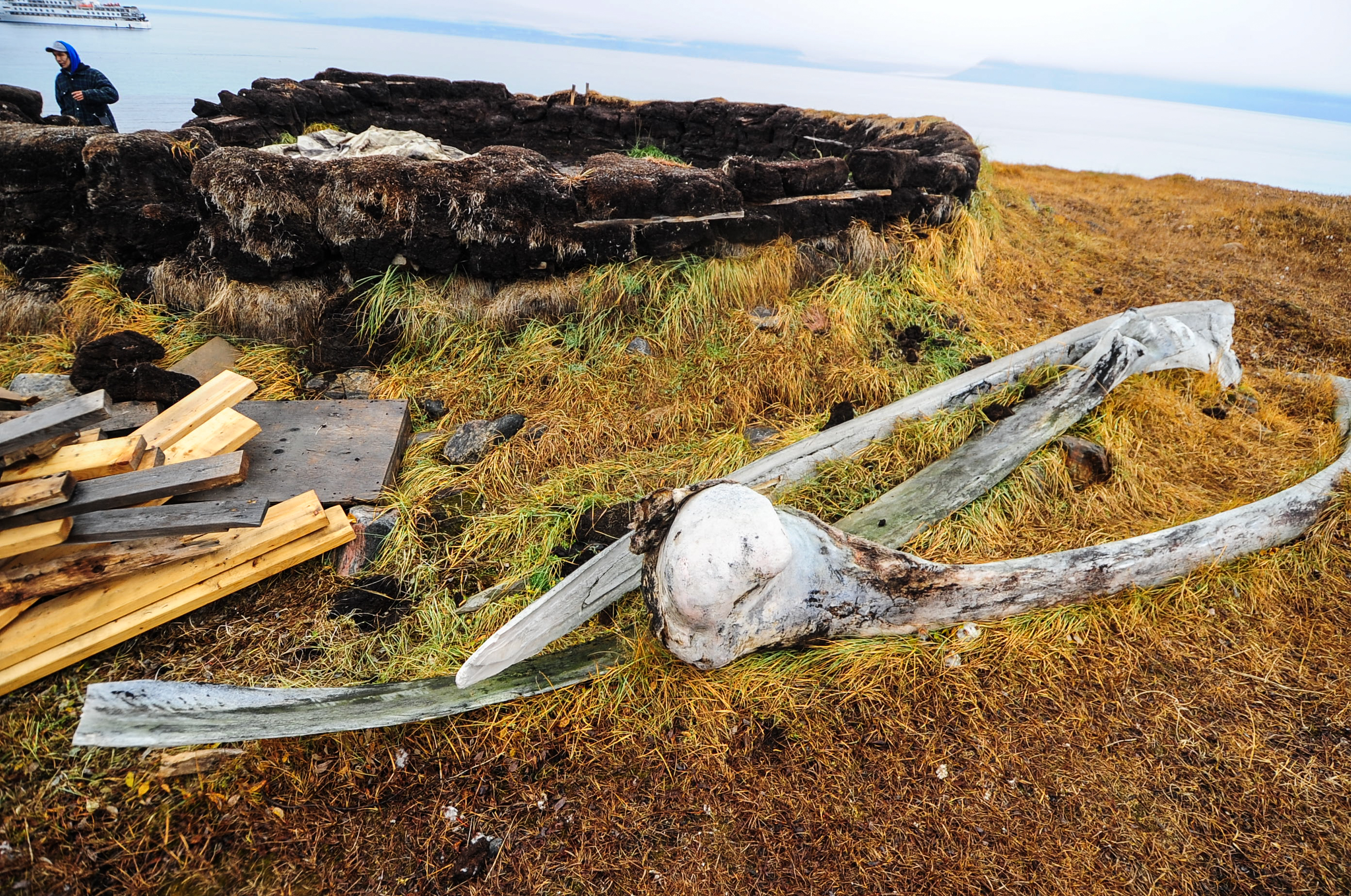 Expedition Guide: Polar History and Culture