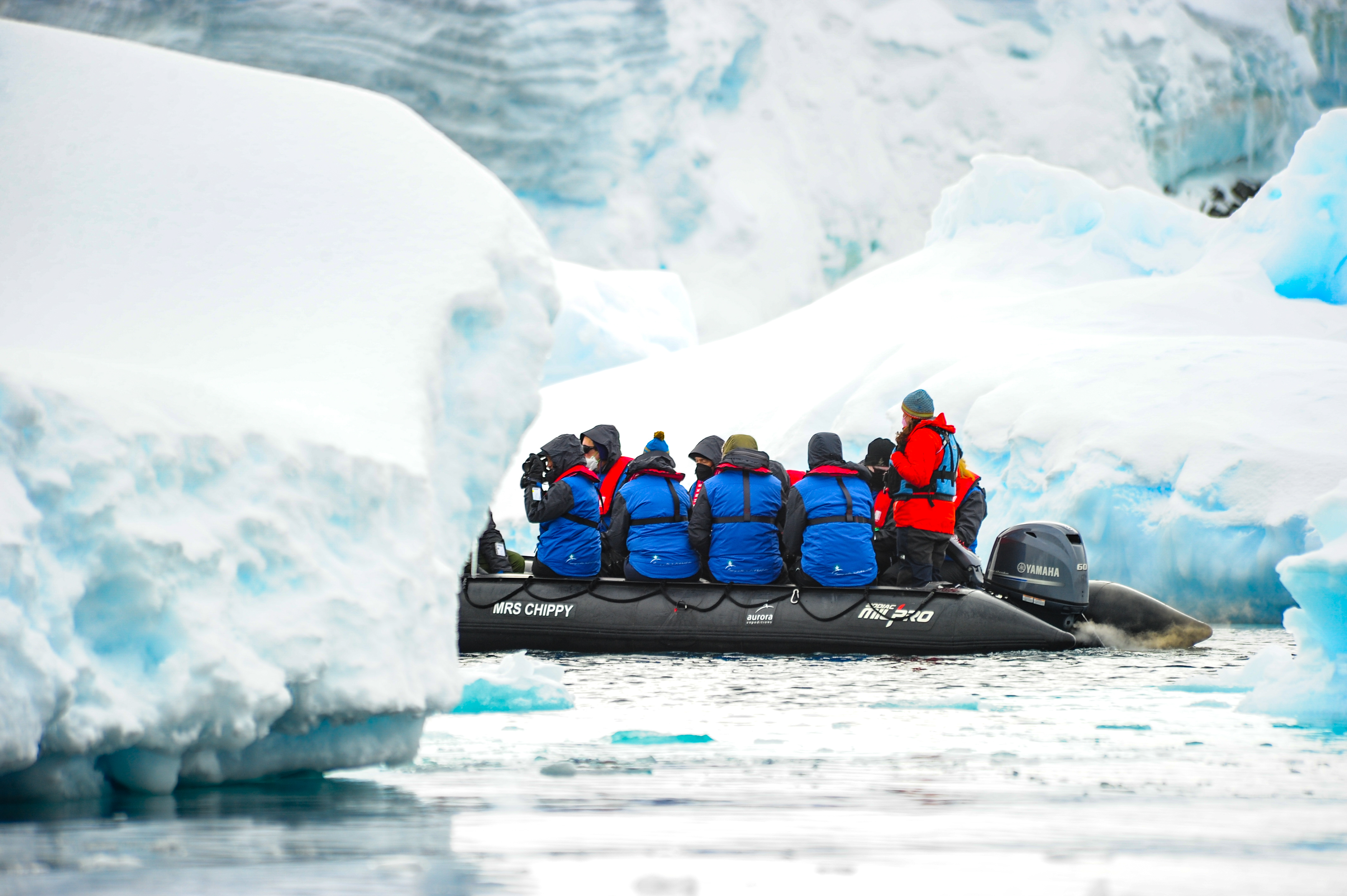 Zodiac Tours