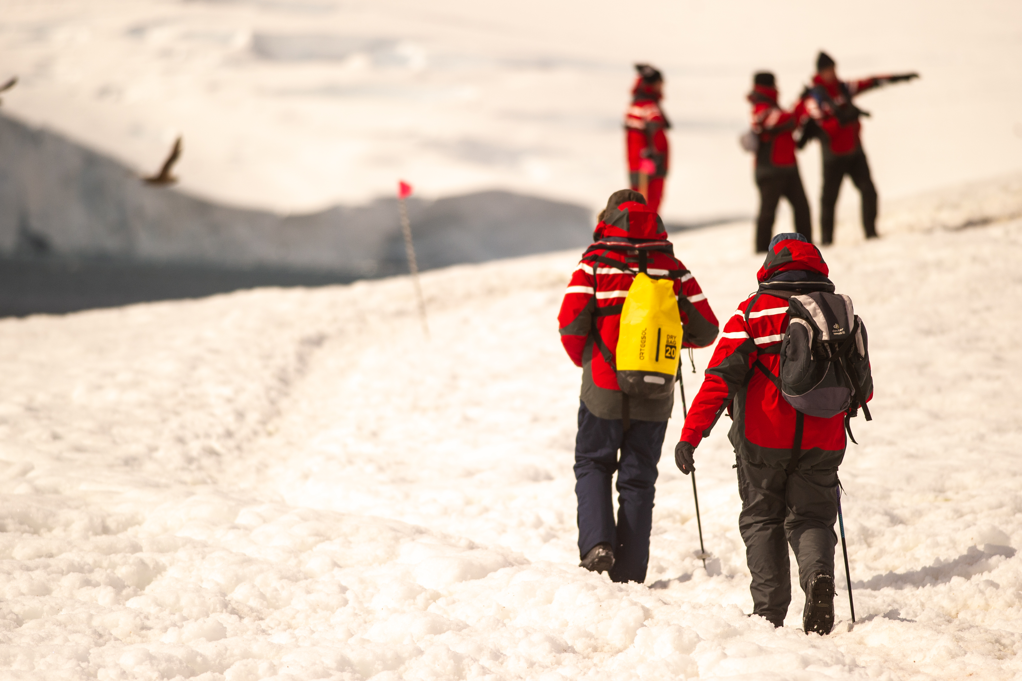 Expedition cruise activities