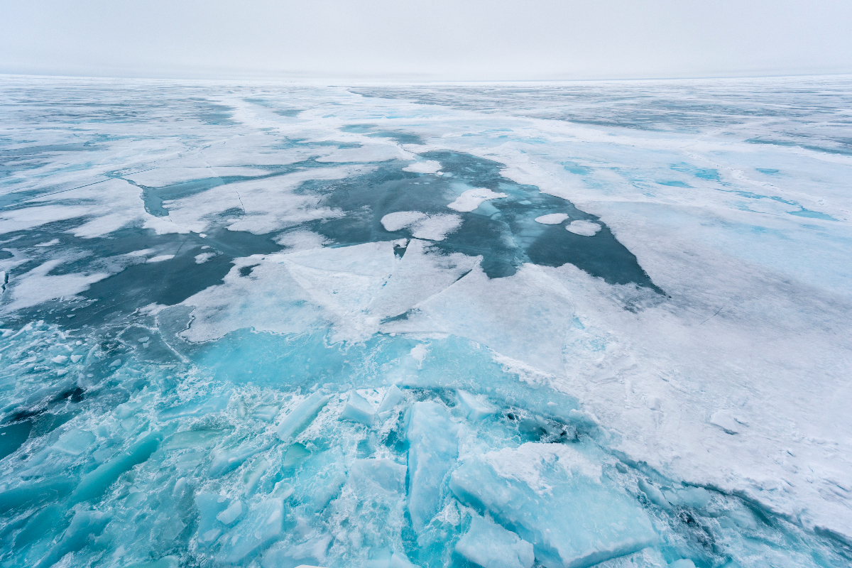 North Pole | ExplorEarth