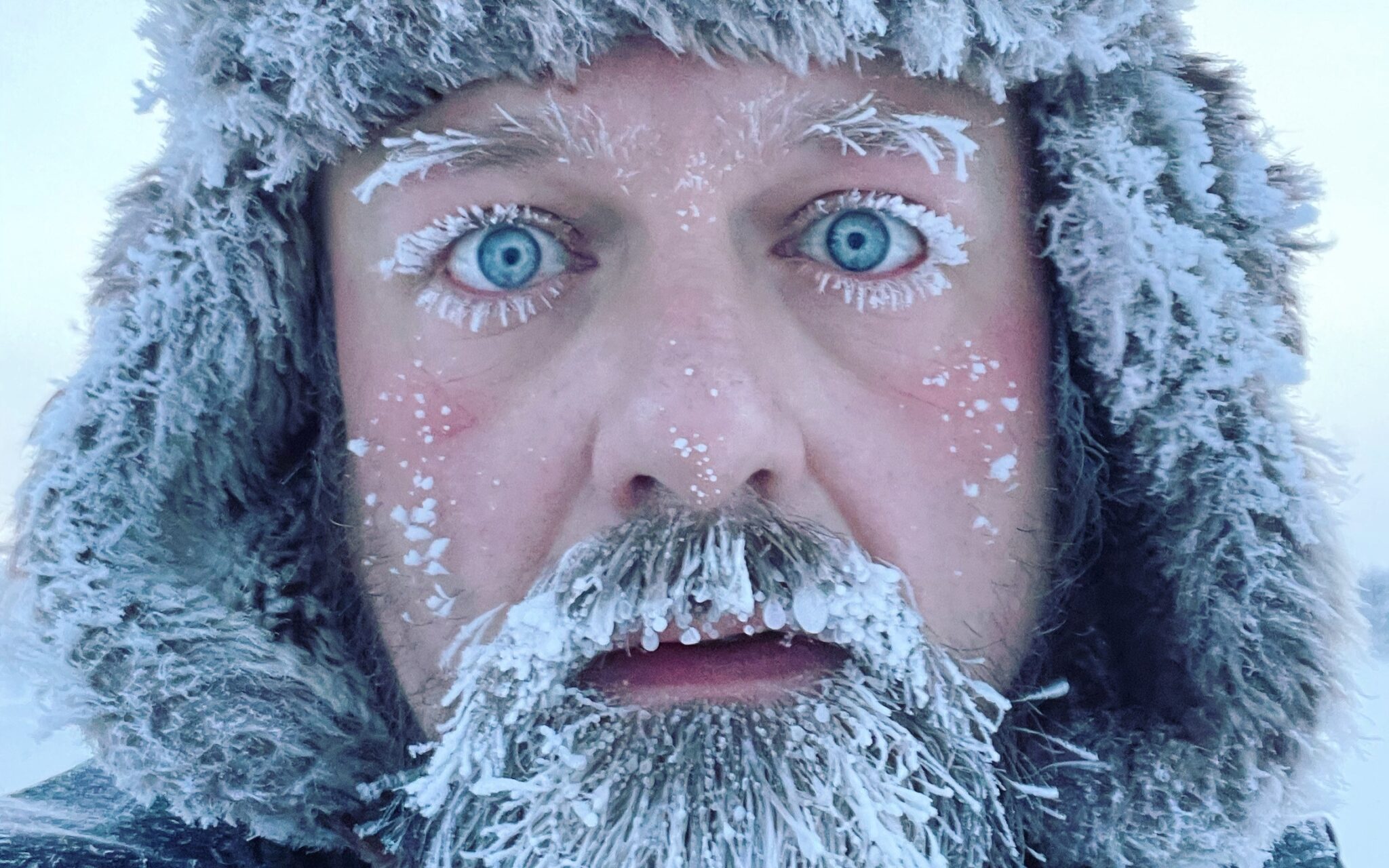 Chasing Penguins: The Allure, the Obsession, and the Inconvenience