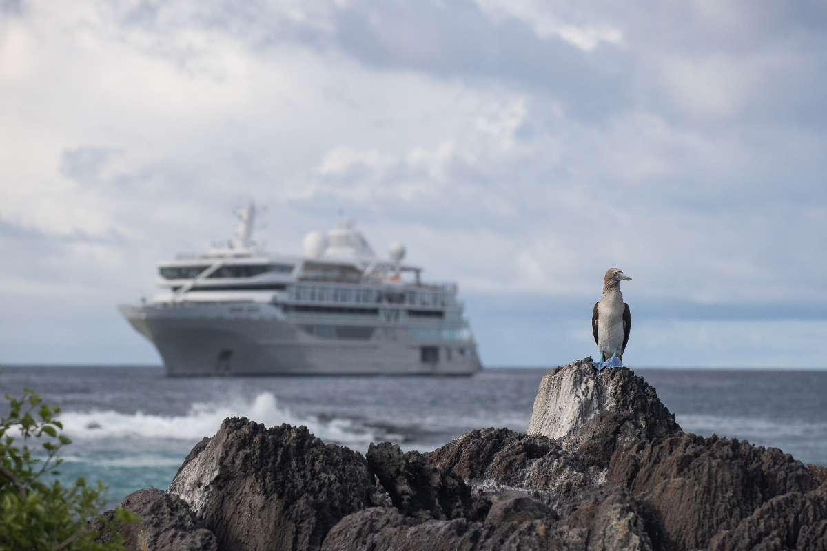 Silversea