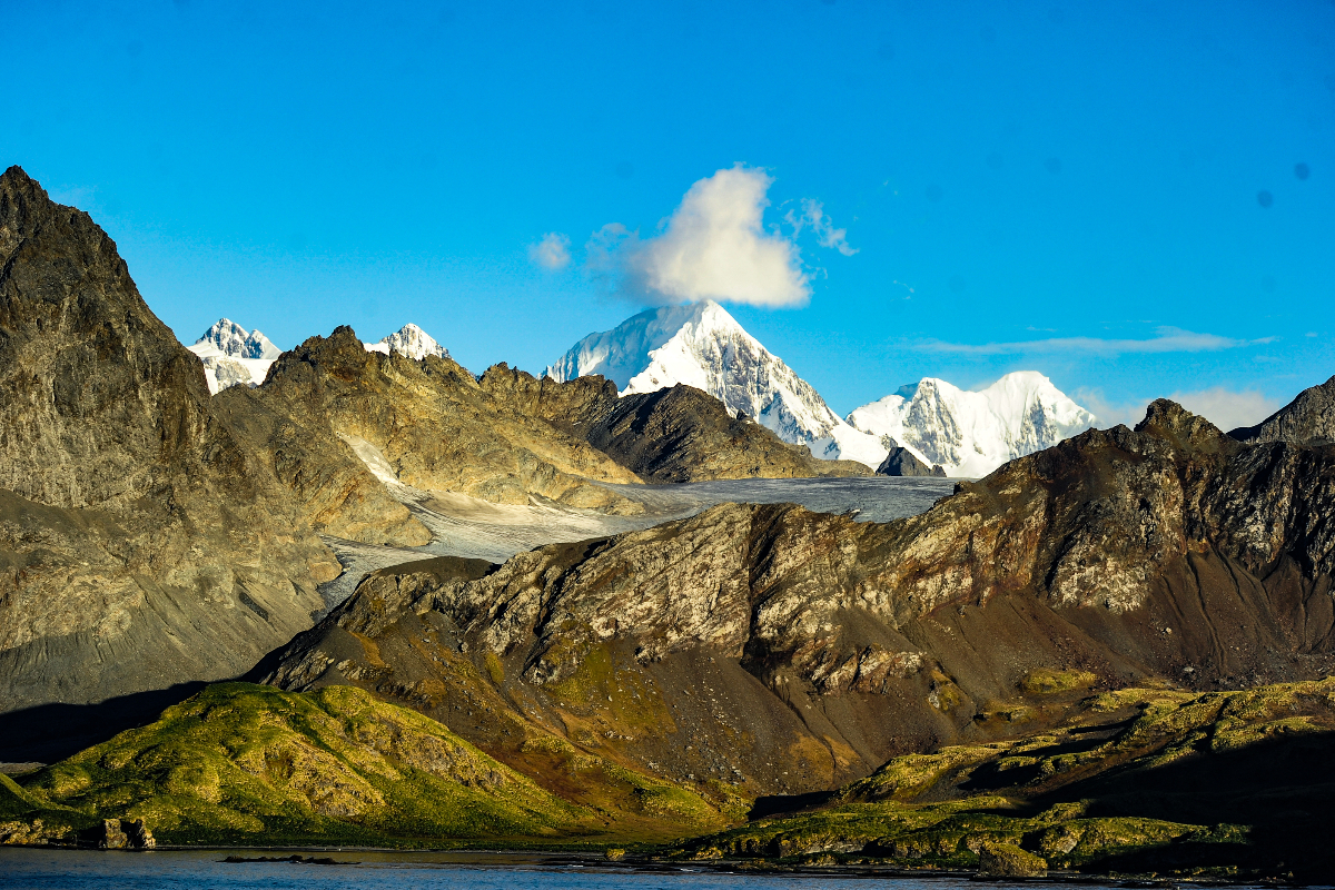 King Haakon Bay