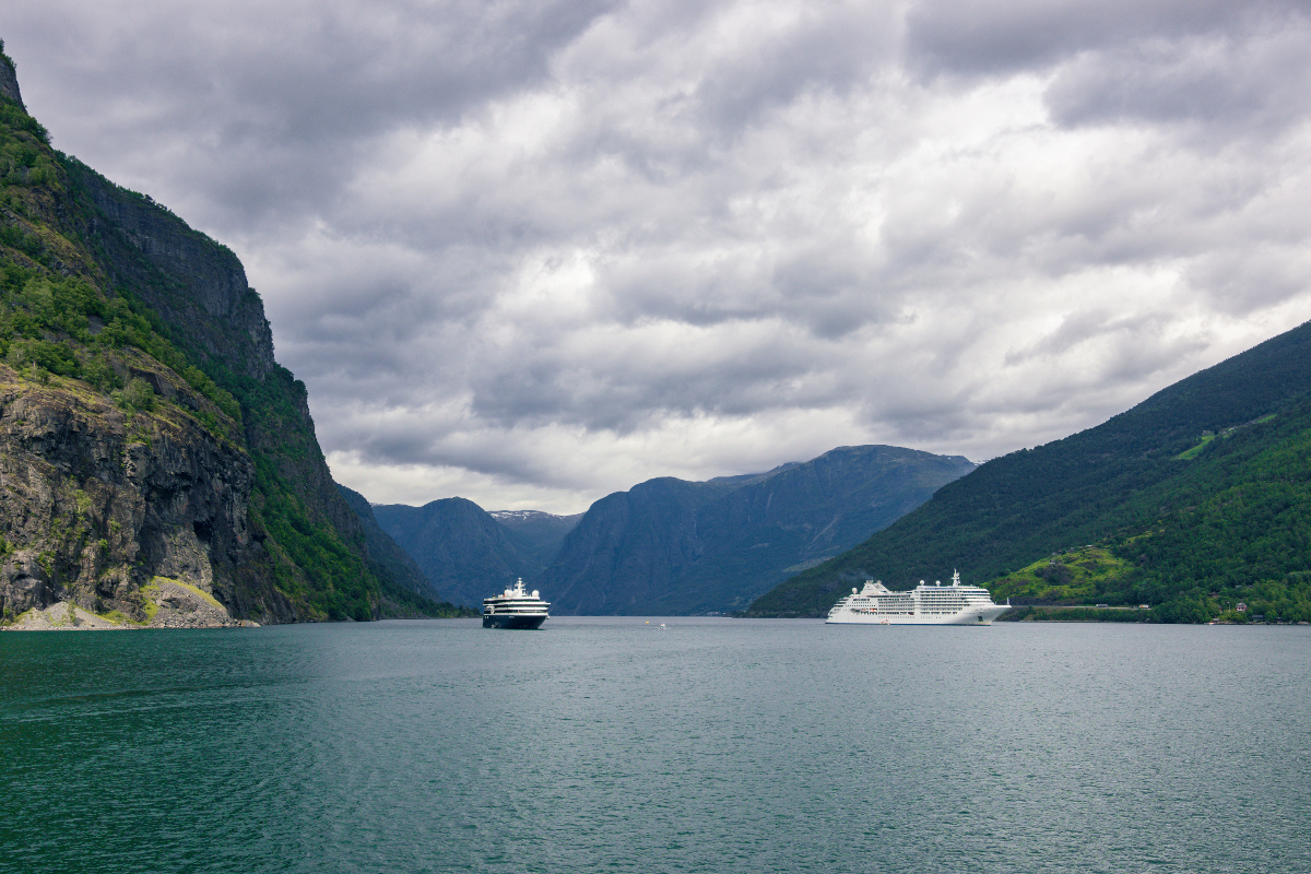 Expedition Guide: Traditional Cruises vs. Expedition Cruise | ExplorEarth