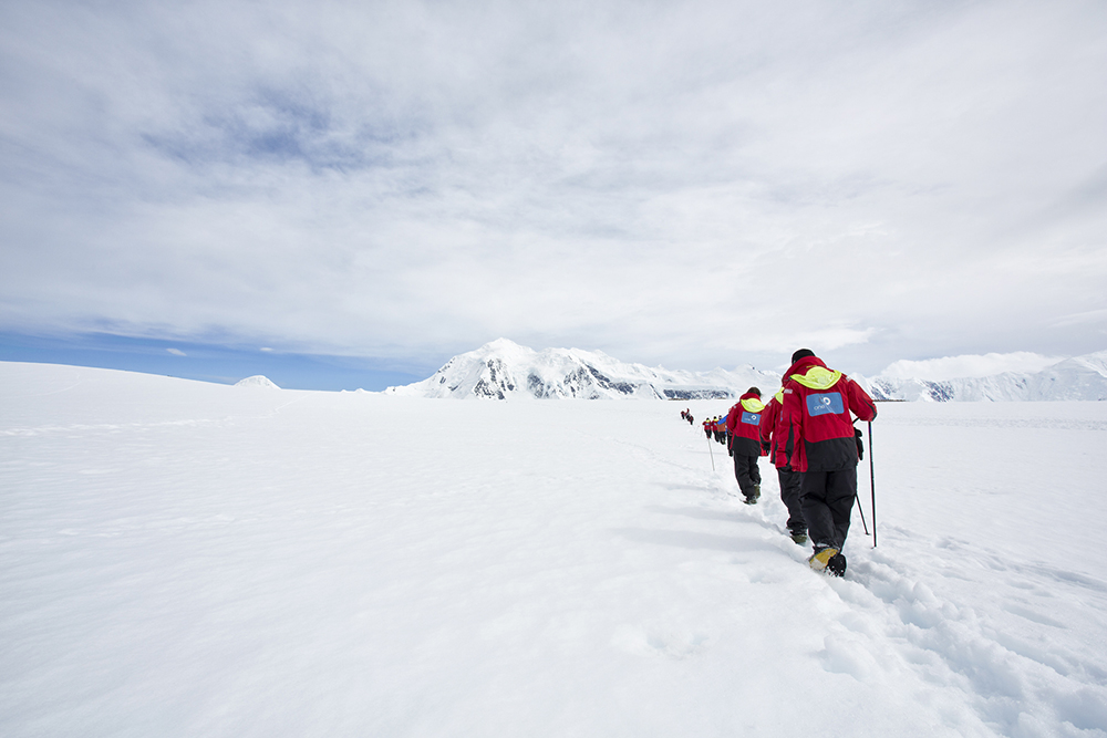 Polar vs Non-Polar Expedition Cruising: What’s the Difference | ExplorEarth