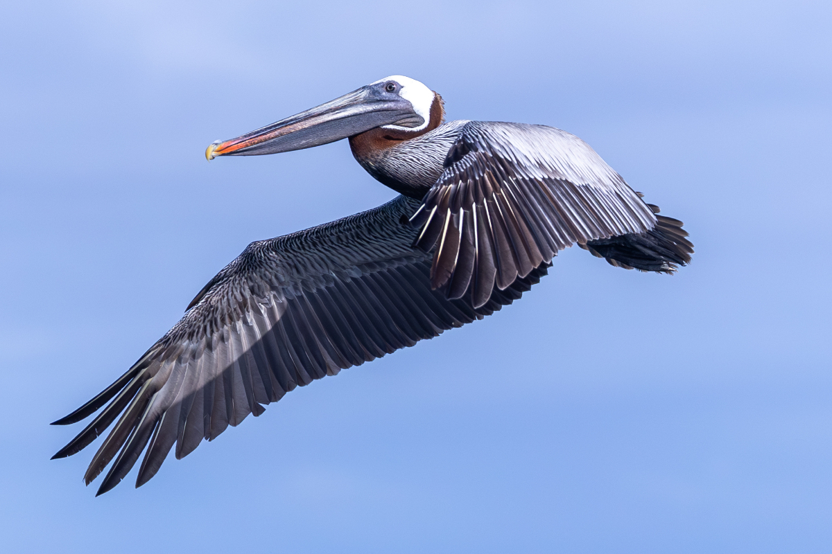 Atlantic Islands | ExplorEarth