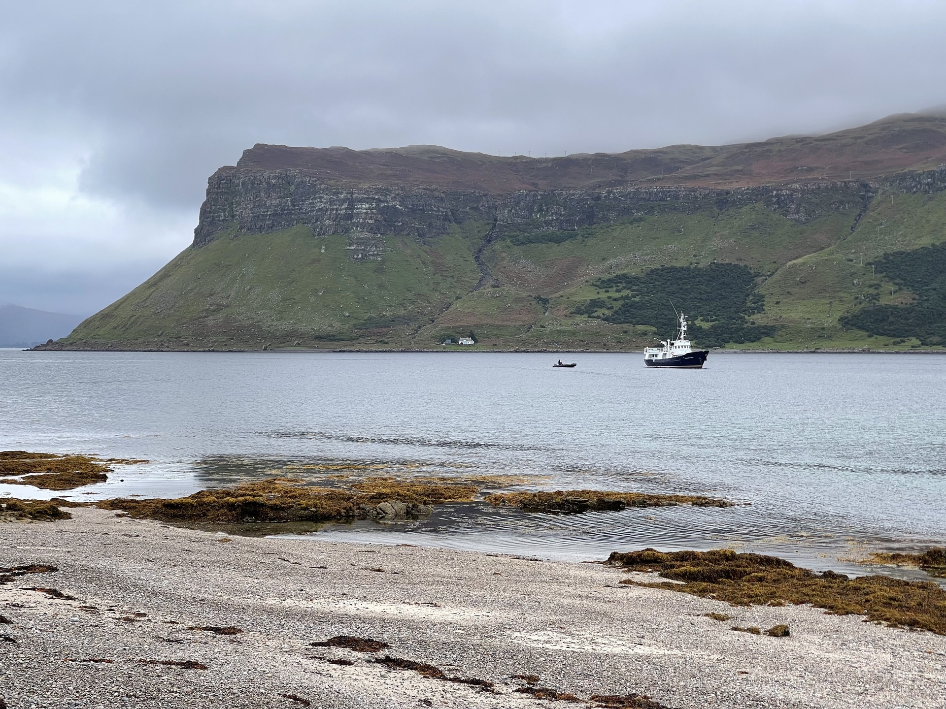 8-Night Whales and Wildlife of the North Minch on MV Hjalmar Bjørge