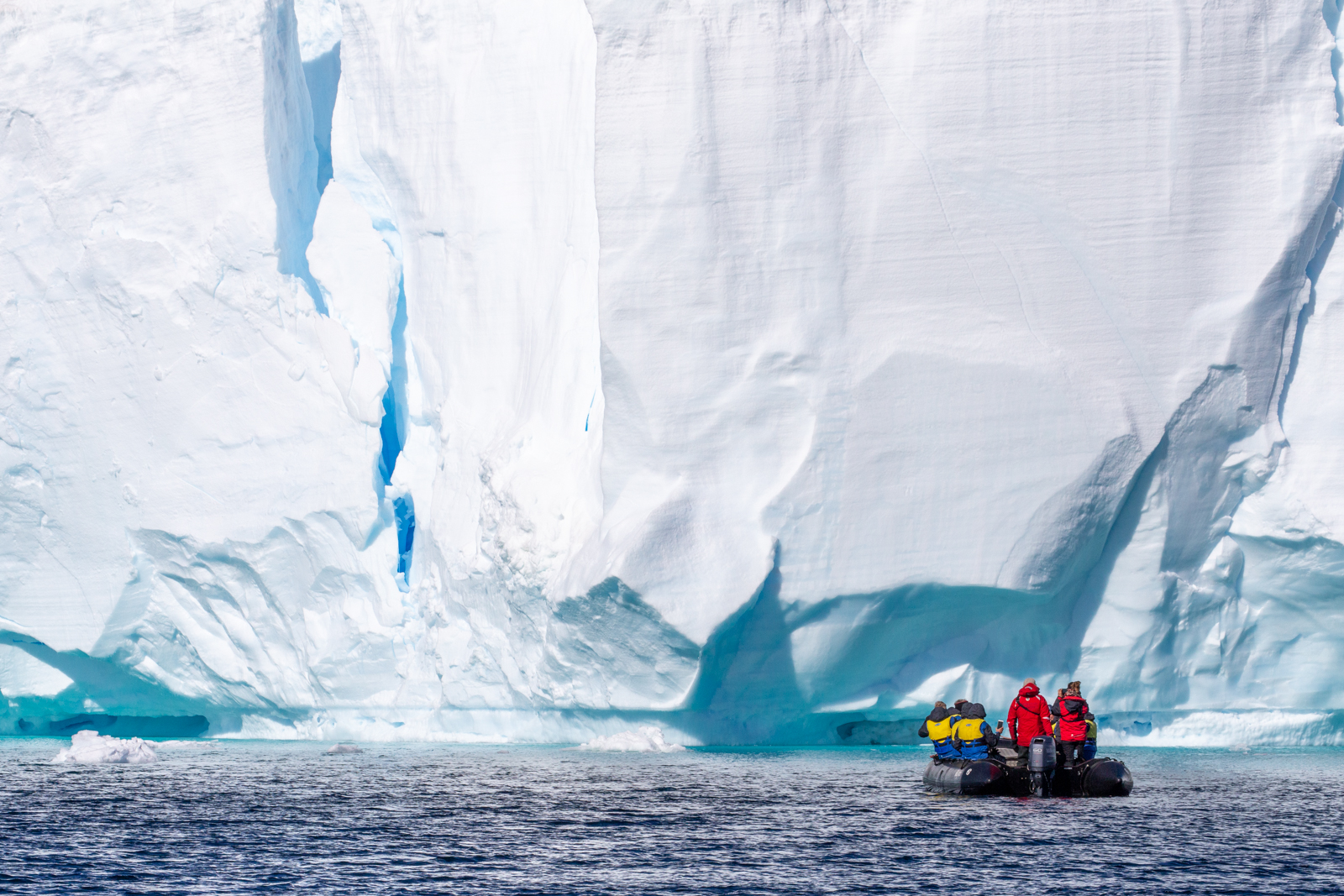 Antarctic Peninsula guide to expedition cruises by leading experts ...