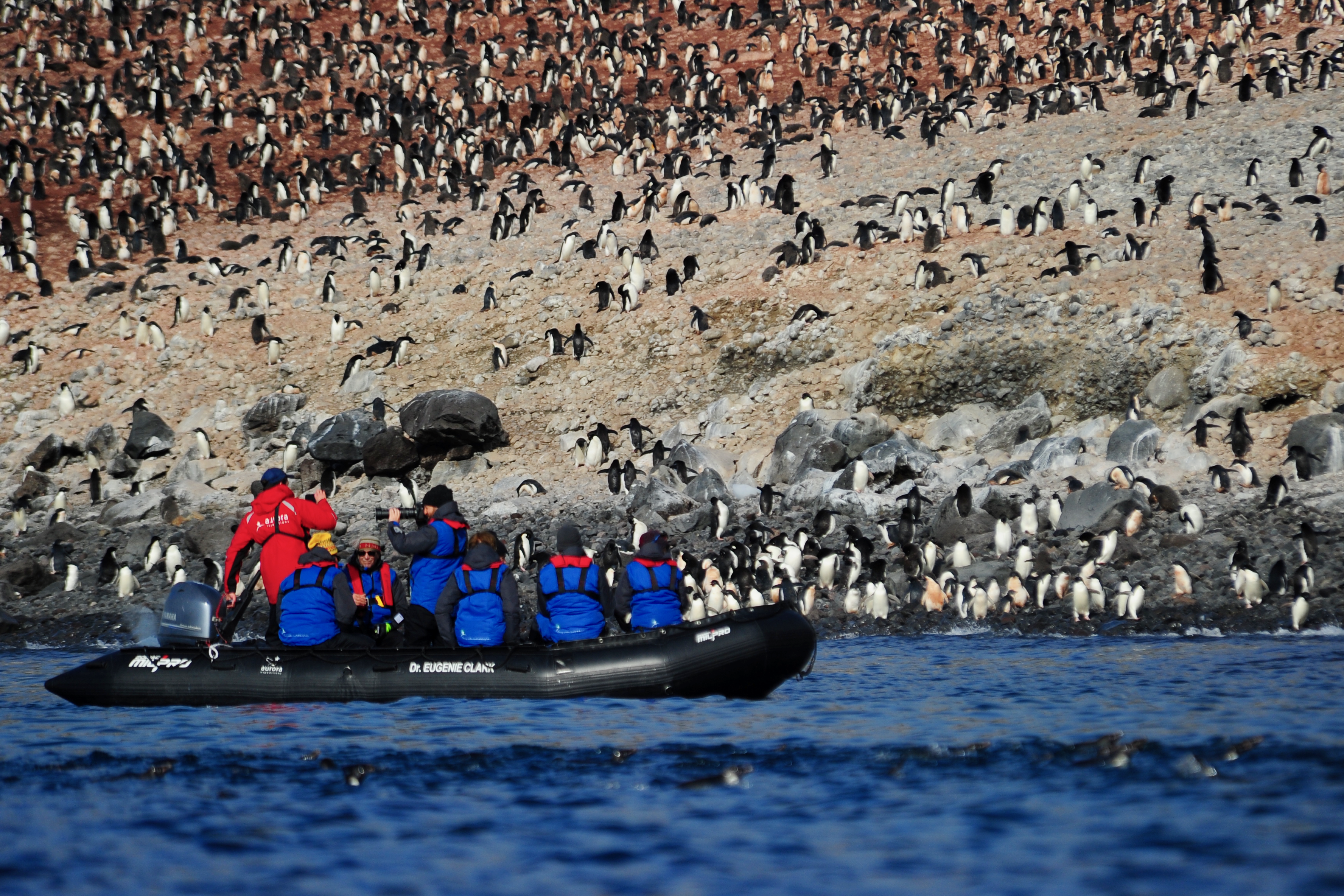 The Explorer’s Mindset | An Expedition Cruise Guide