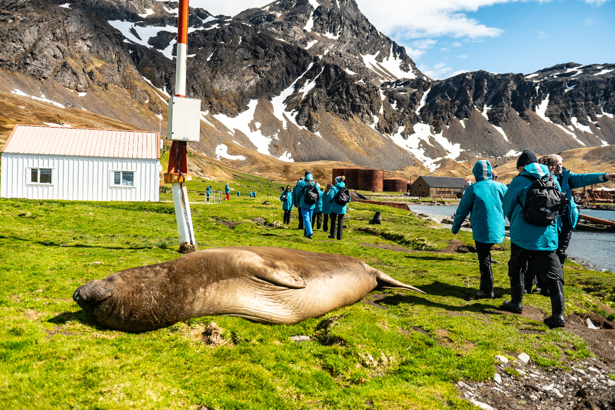 The Drake Passage: To Fly, or Not to Fly? | ExplorEarth